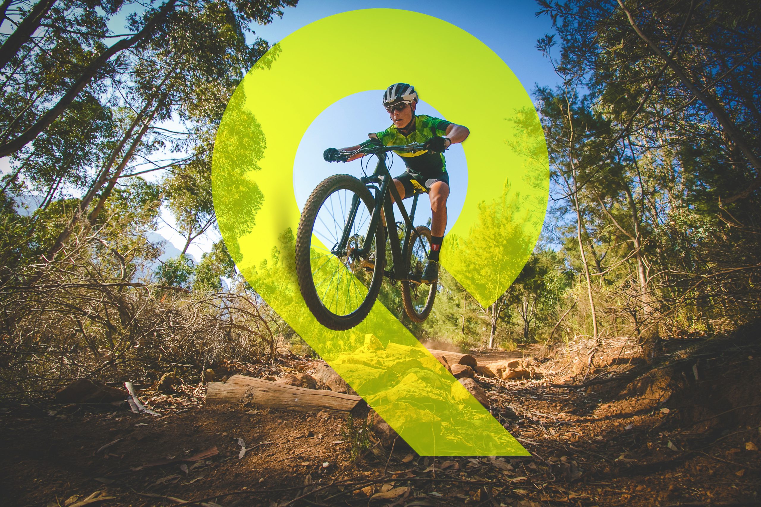 SEO in healthcare & pharmaceutical marketing | performance.io India